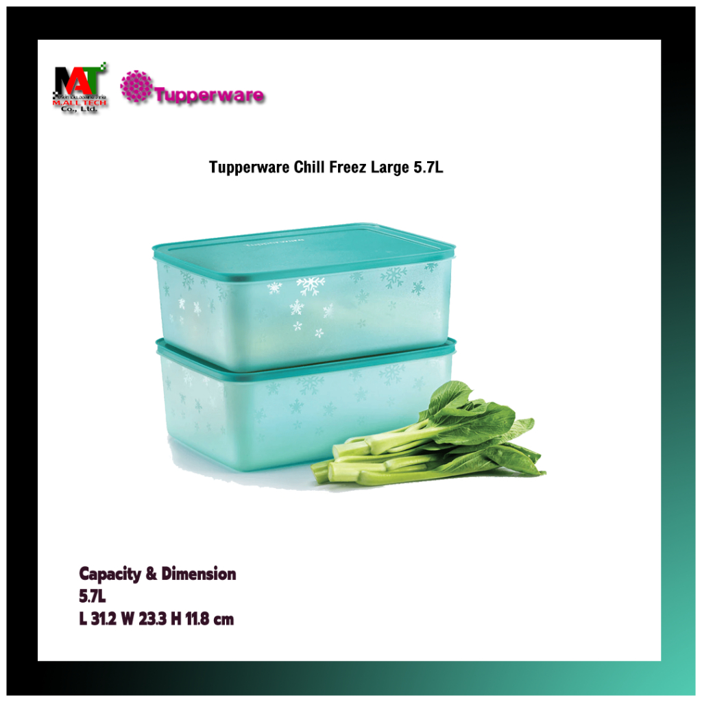 Tupperware Chill Freez Large Food Freezer Box Size 5.7L (1 Pc) | Shopee ...