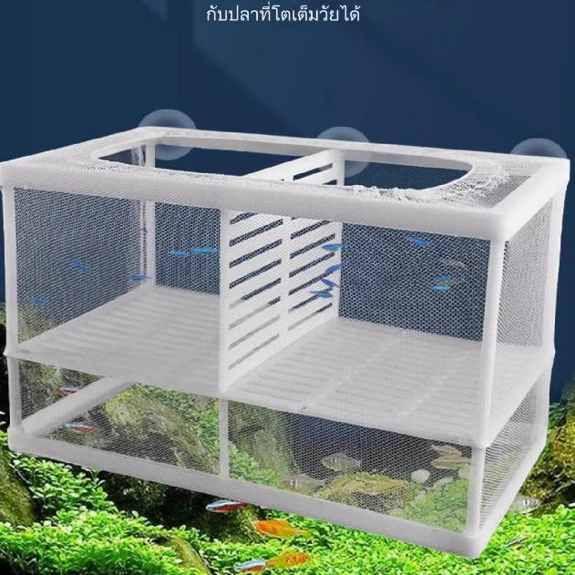 Fish Sorting Box Net Separating Balls 4 Compartments Cage Size 26x15x15 ...