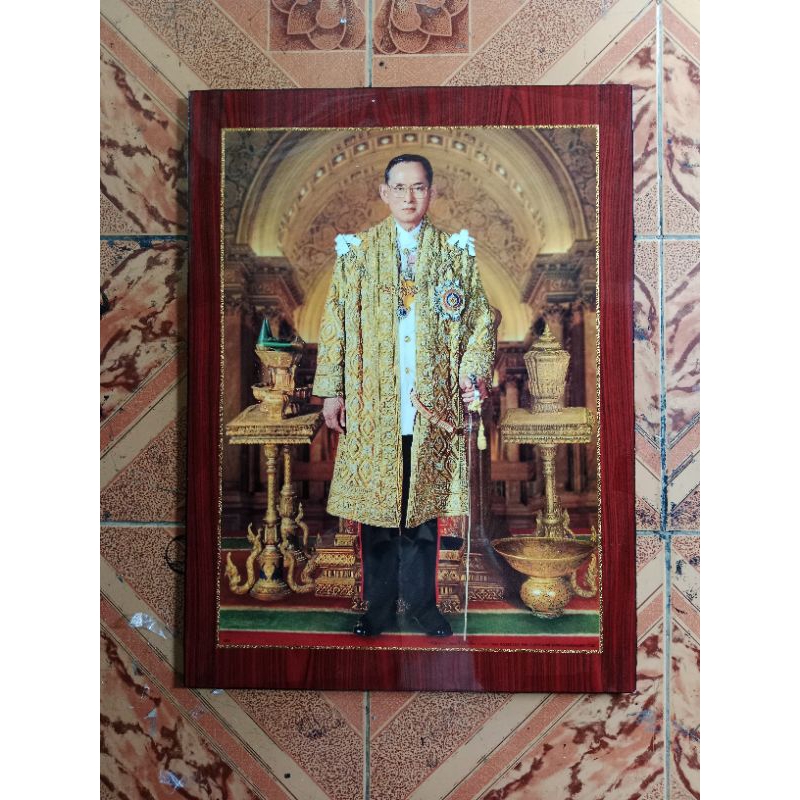 Shiny Resin Coated Science Frame Picture King Rama 9 Size With 18 × 24 ...