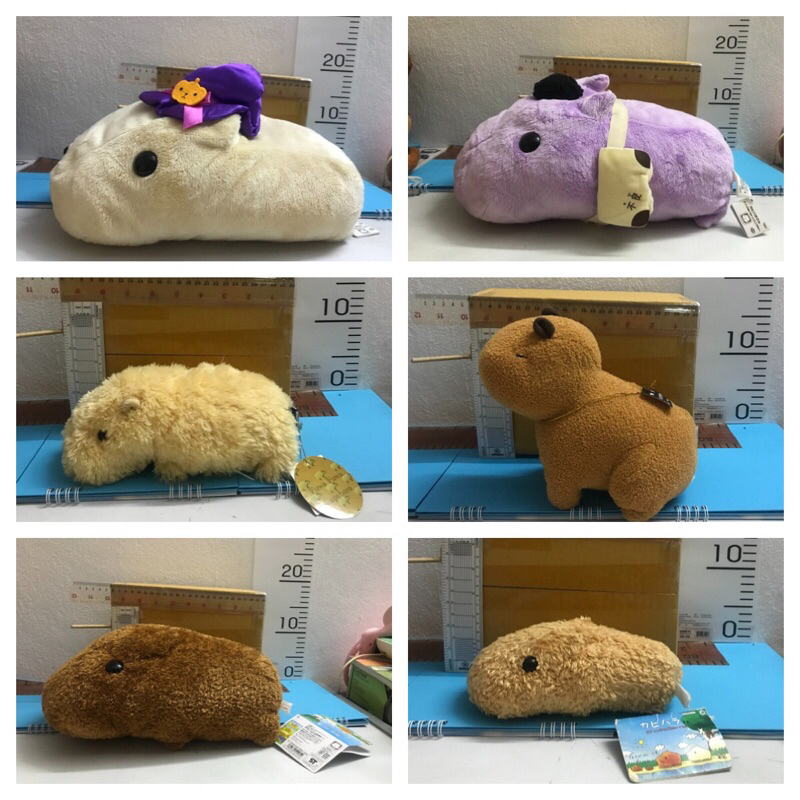 Capi Kid Girl Coconut Capibara With Tag | Shopee Singapore