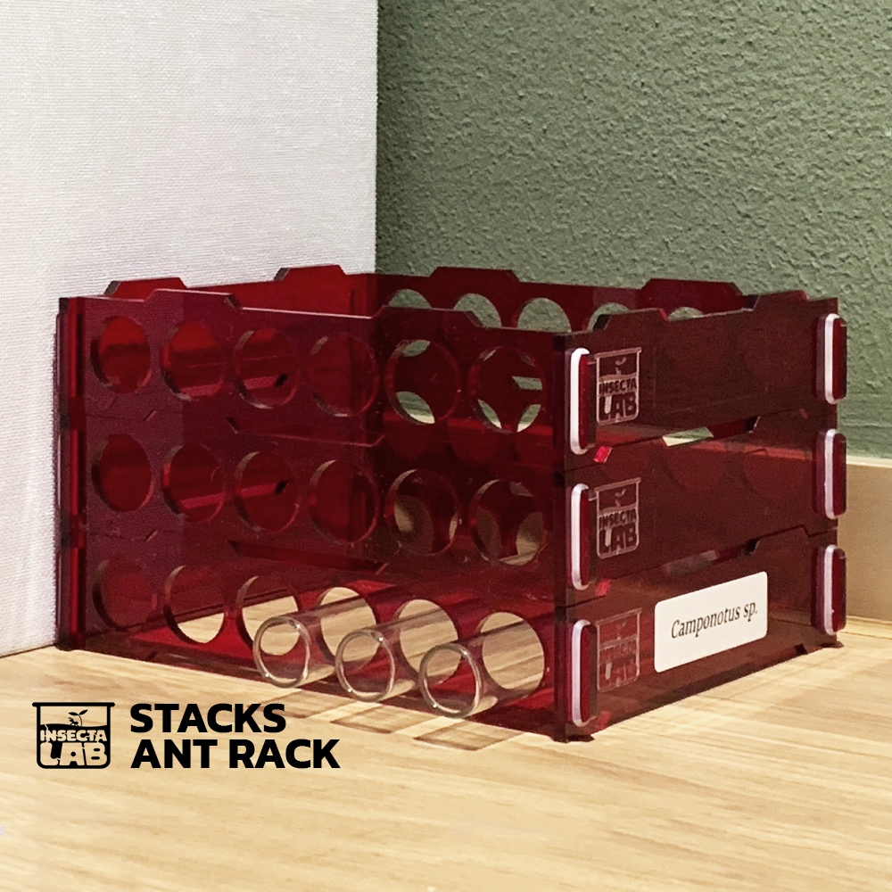 ant-Raising Test tube rack Stacks (Stacks ant rack) | Shopee Singapore