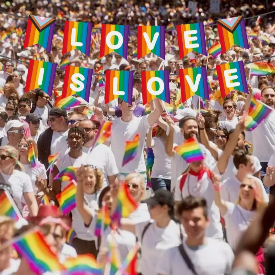 Handrail Flags Paper Label Rainbow 5M Love String Bunting 12 Pride Day ...
