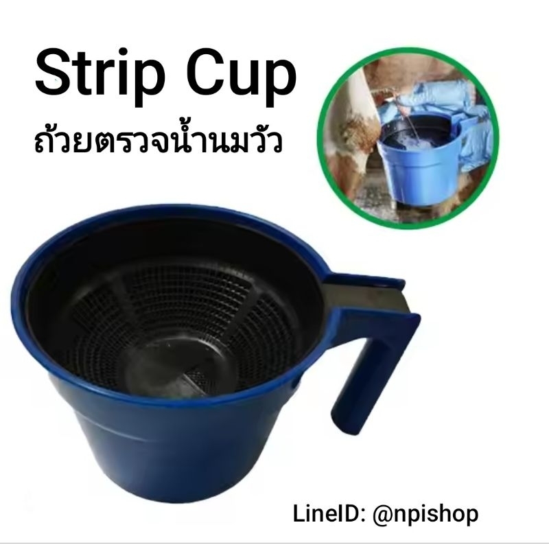 Strip Cup Cow Milk Test Pre-Laced Cow's | Shopee Singapore