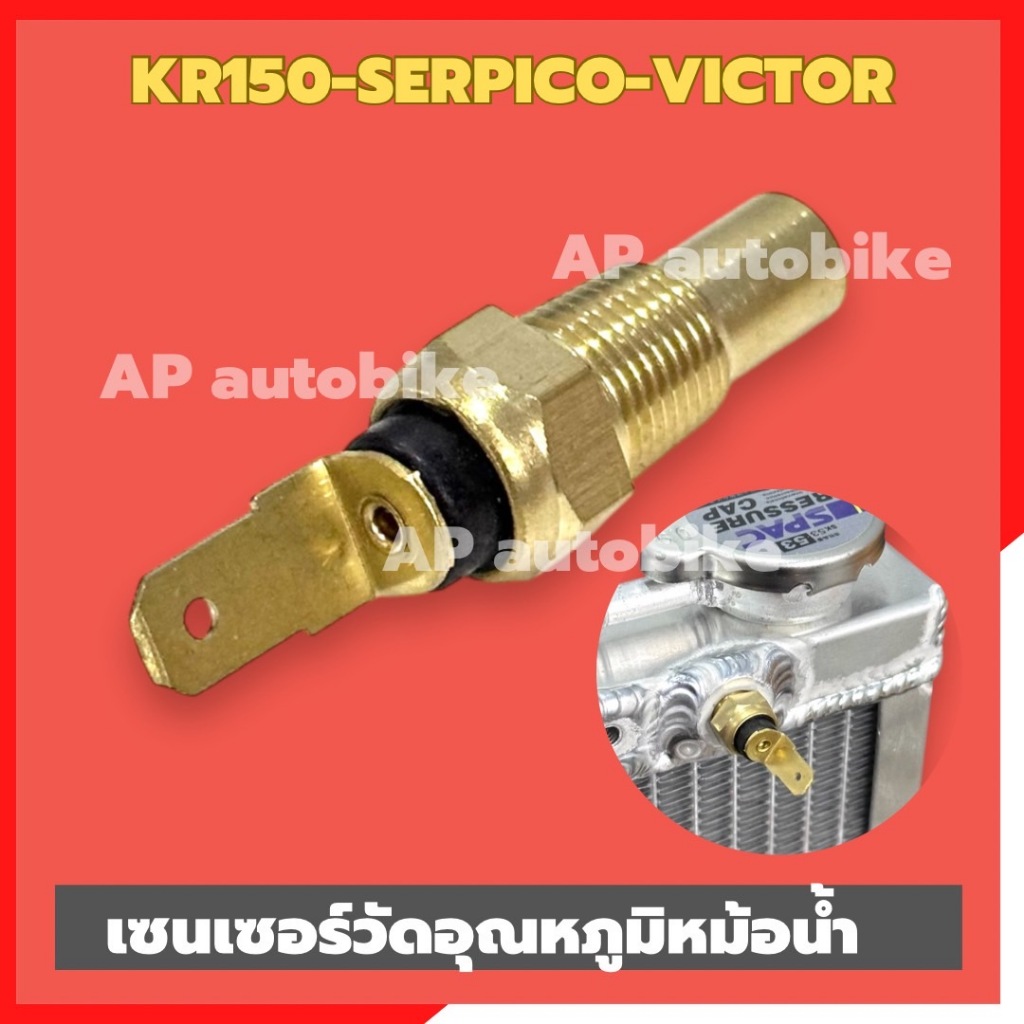 Water Heater Thermometer Kr150 SERPICO Flat Head Kea Radiator ...