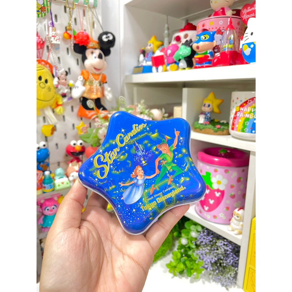 Disney Peter Pan Iron Box By Tokyo Disneyland From Japan | Shopee Singapore