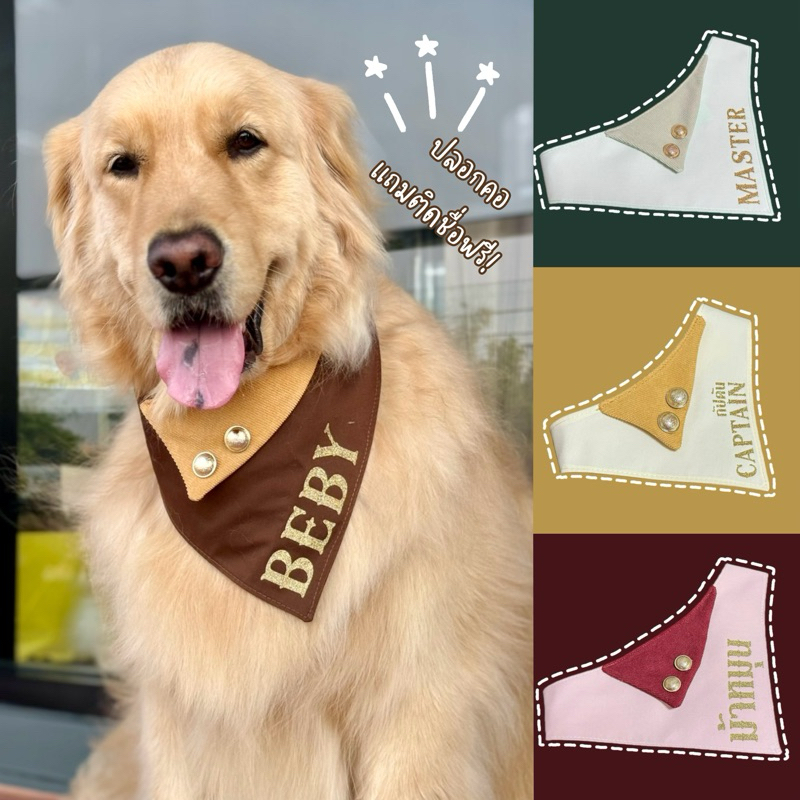 Ha-Shi SHOP Corrugated Collar Sleeve Free Add Name On Chat. | Shopee ...