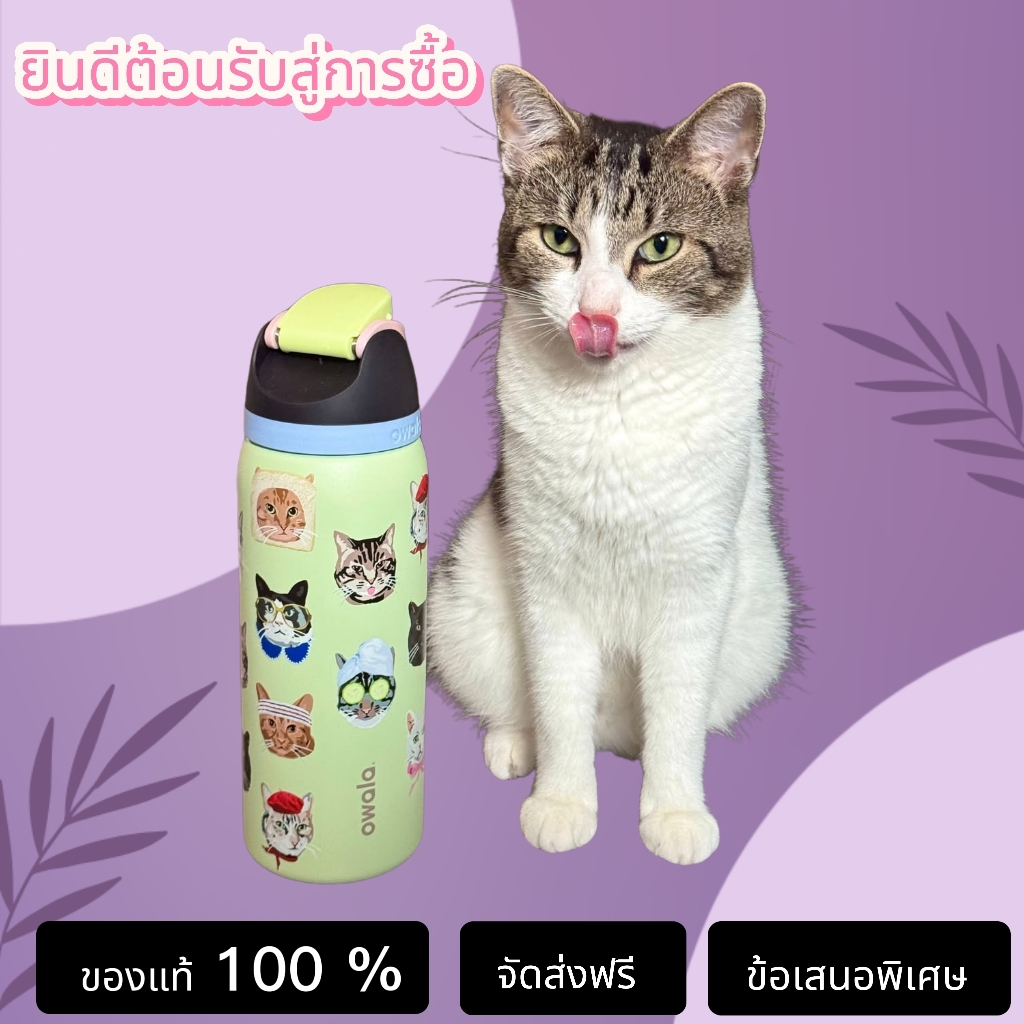 Owala UO Exclusive Cat Collage FreeSip 32oz Water Bottle Glass | Shopee ...