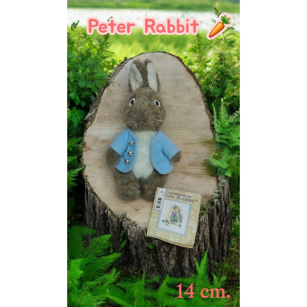 Peter Rabbit Doll 14 Cm. | Shopee Singapore