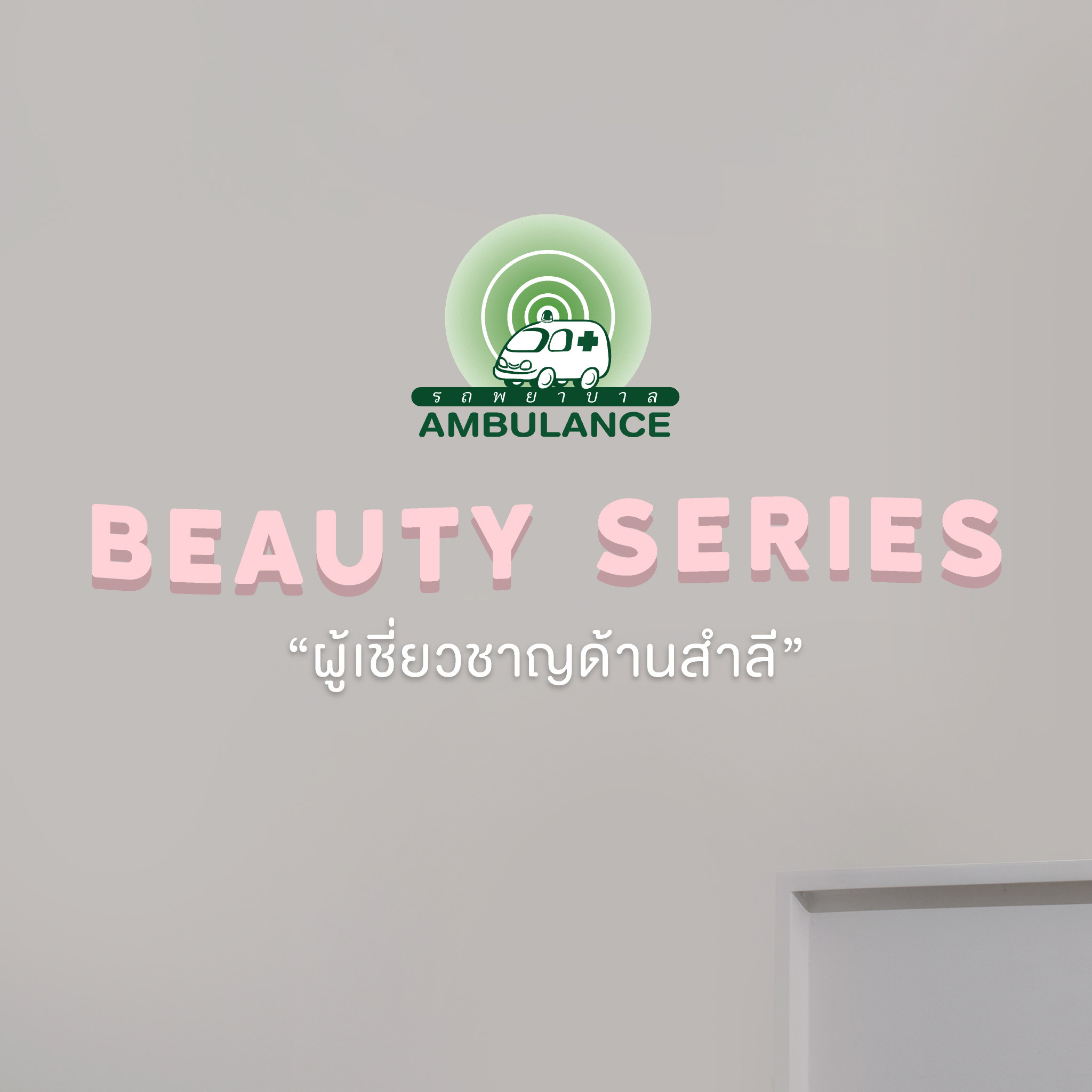 Beauty Series Cotton Swabs Makeup Buds Model (Makeup Buds) 100 Swabs ...