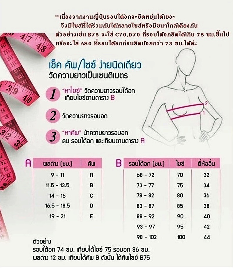 (2019)/Aimer Feel Genuine Bra From Japan (D75/Chest 36-38 (E70 B80 Can ...