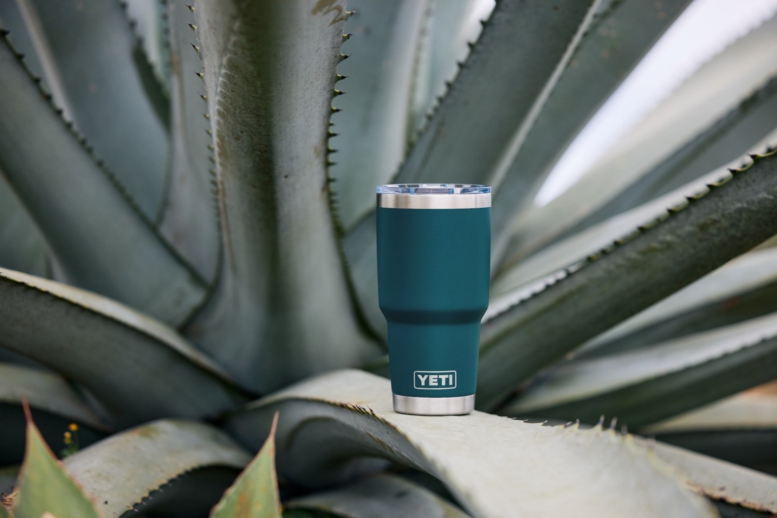 YETI Glass Keeps Cool RAMBLER 30 OZ TUMBLER AGAVE TEAL Model | Shopee ...