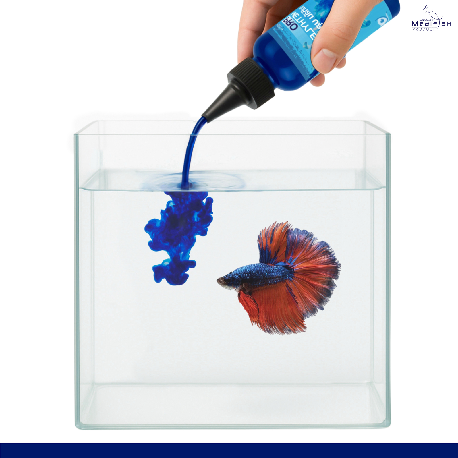 METHYLENE BLUE Concentrated Formula PRO Size 50ml By MEDIFISH "Easy ...