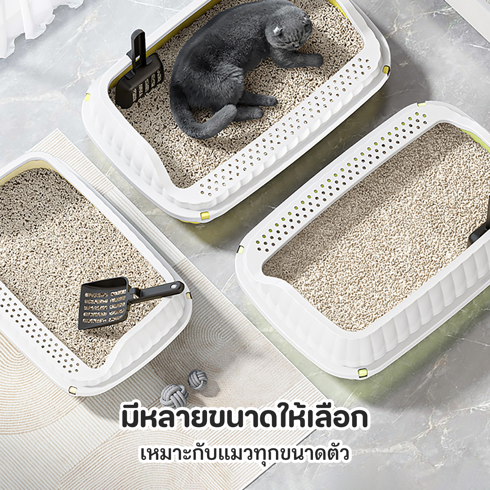 Pet Record Cat Toilet Litter Box Many Areas High Edge Models Come In ...