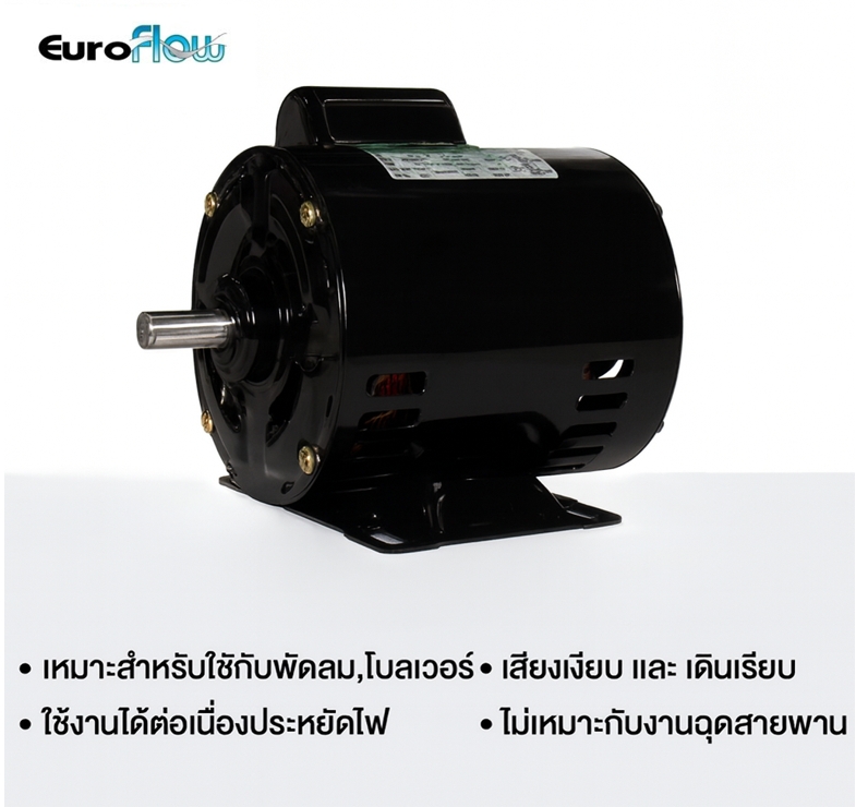 Euroflow Motor Model CRH 1/2HP 4P FT 220V (G3) Shaft 14 Mm (Not ...