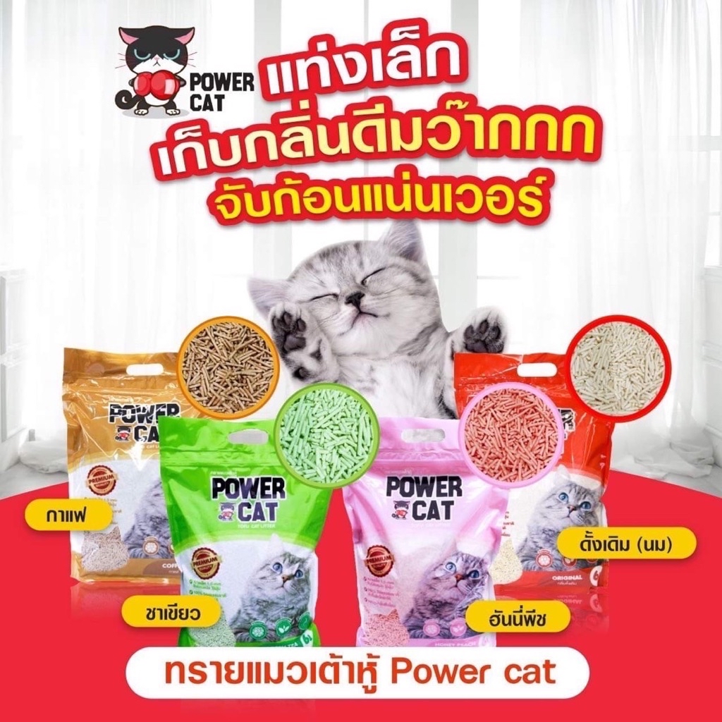 POWER CAT Tofu Litter 6 Liters | Shopee Singapore