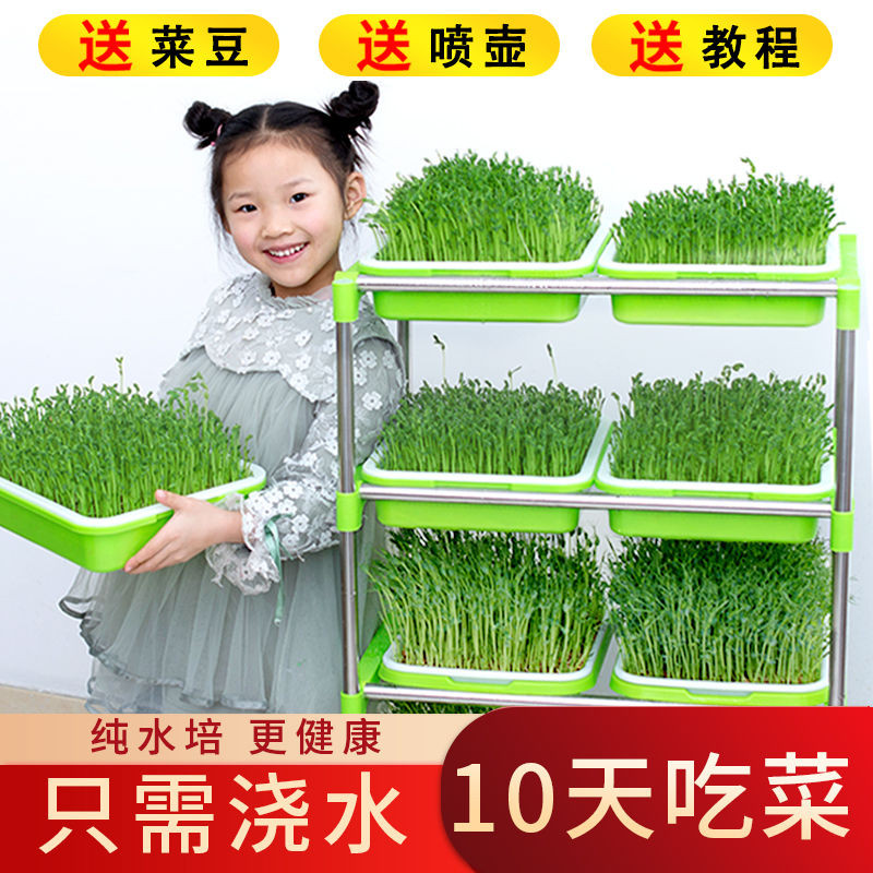 Nurturing Supplies Sprout Seedling Tray Hydroponic Vegetable Planting ...