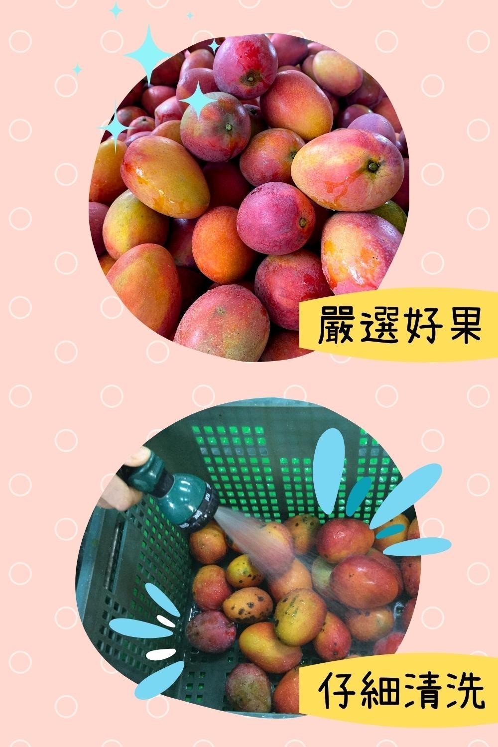 [Chunge Good Things Dried Fruit Monopoly] Fresh Sweet Sour Thick Strips ...