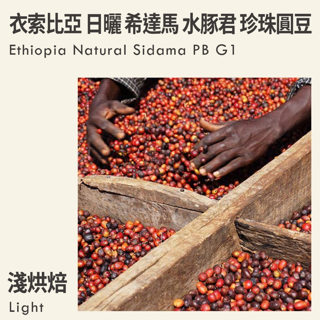 KaKaLove Coffee-Ethiopia Sun-Dried Hidama Capybara Jun Pearl Round Bean G1 0.5lbs | Shopee Singapore