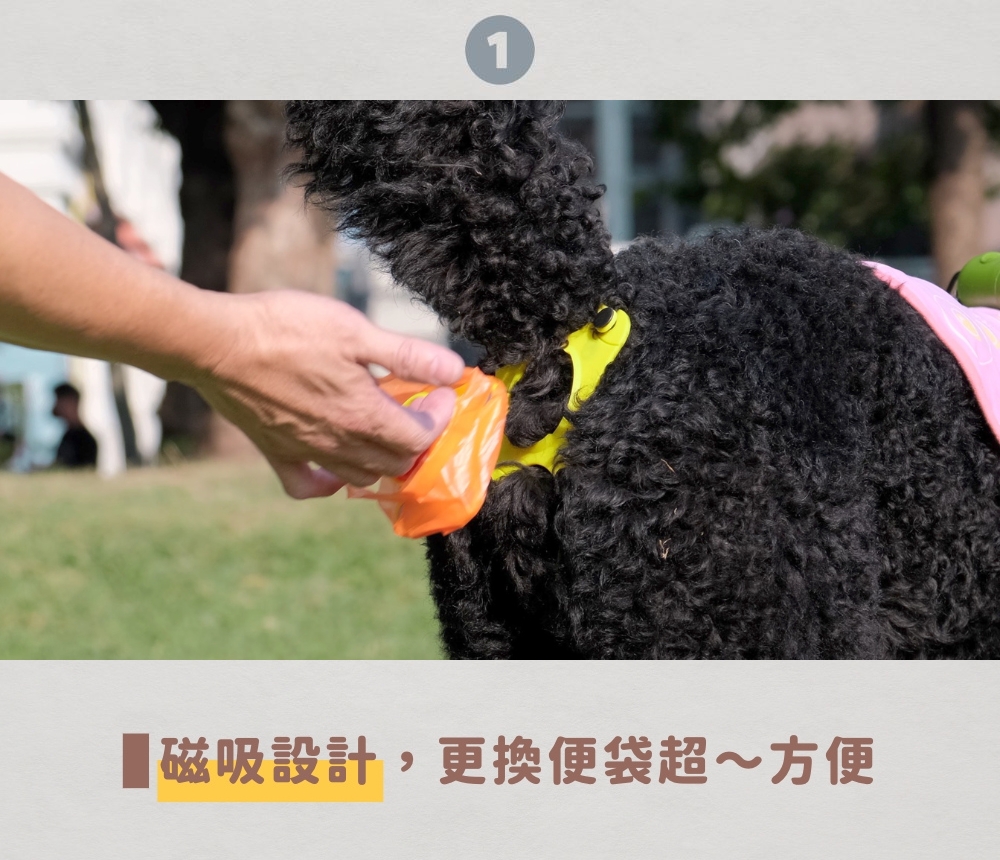 Poo-Lock Dog Poop Catcher+120pcs Bag|One Second Finish Pick-Up Task ...