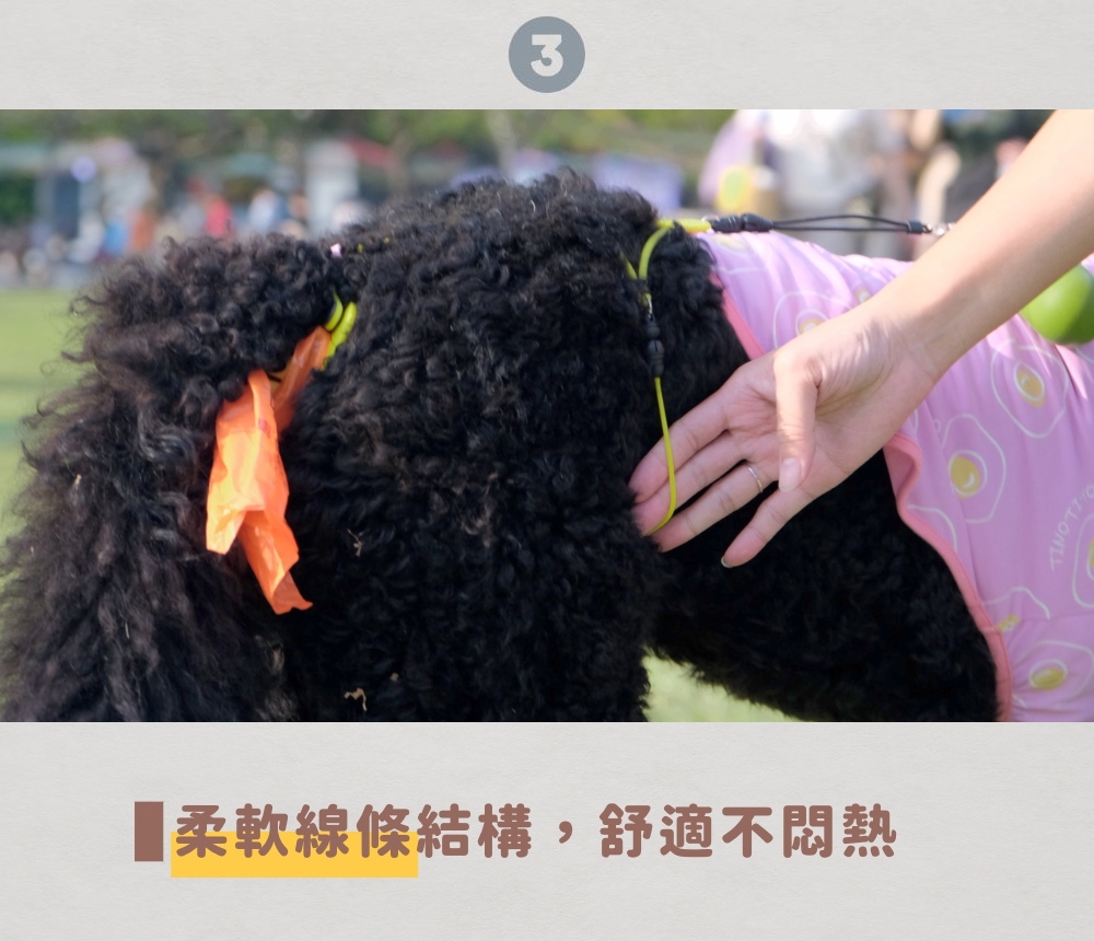 Poo-Lock Dog Poop Catcher+120pcs Bag|One Second Finish Pick-Up Task ...