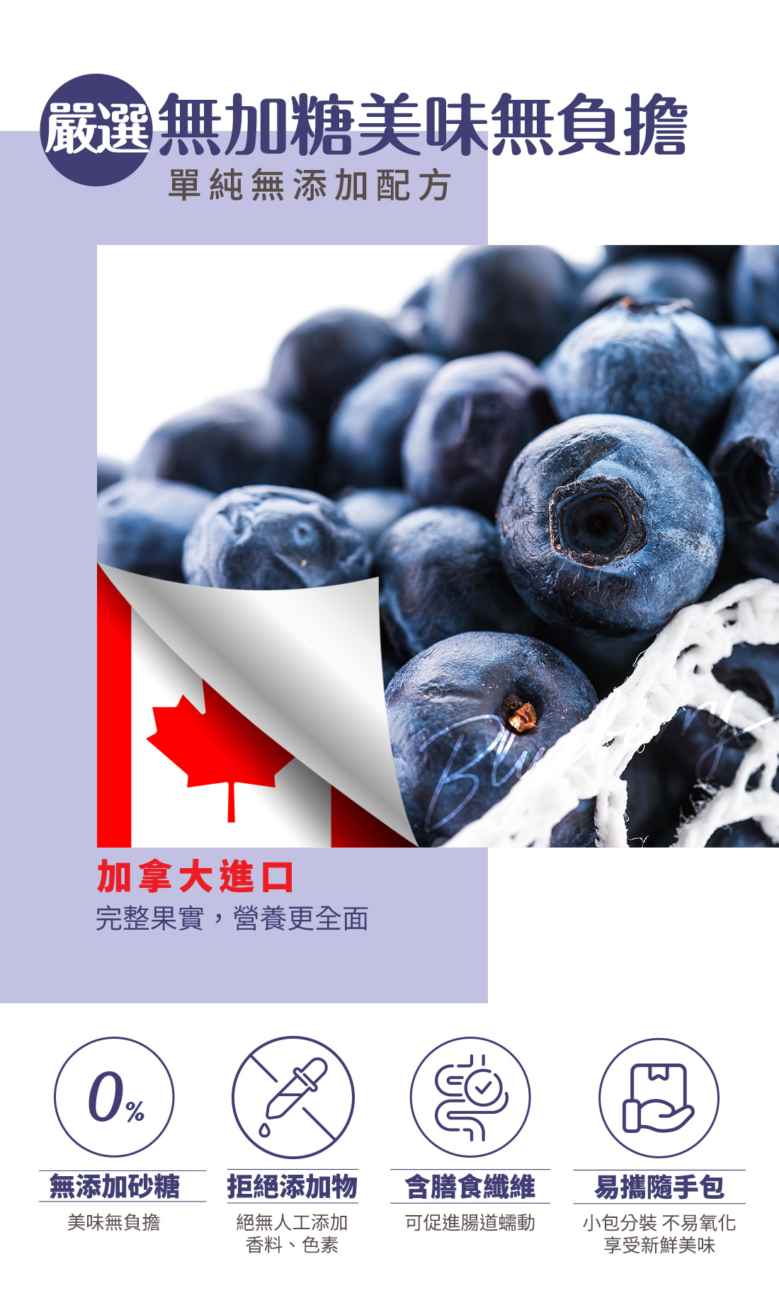 [Misen vilson] No Added Sugar Crispy Fruit (Blueberry/Longan) | Shopee ...