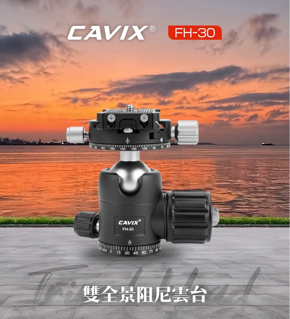 CAVIX FH-30 Dual Panoramic Damping Ball Head | Shopee Singapore