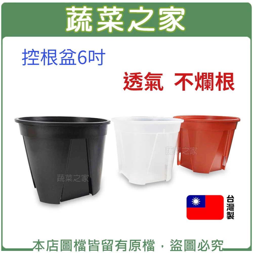 Root Control Pot 6 Inch Red/Black/Transparent Side Bottom Unique Design ...