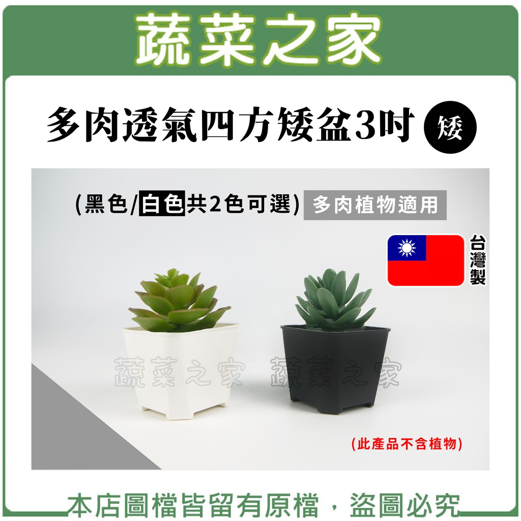 Succulent Breathable Square Low Basin 3inch (Short) (Black.white) Pot ...