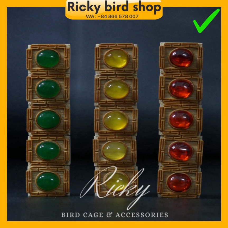 Ricky Multi-Color Stone-Inlaid Frozen Ear Piercings (Set Of 5) (Ricky ...