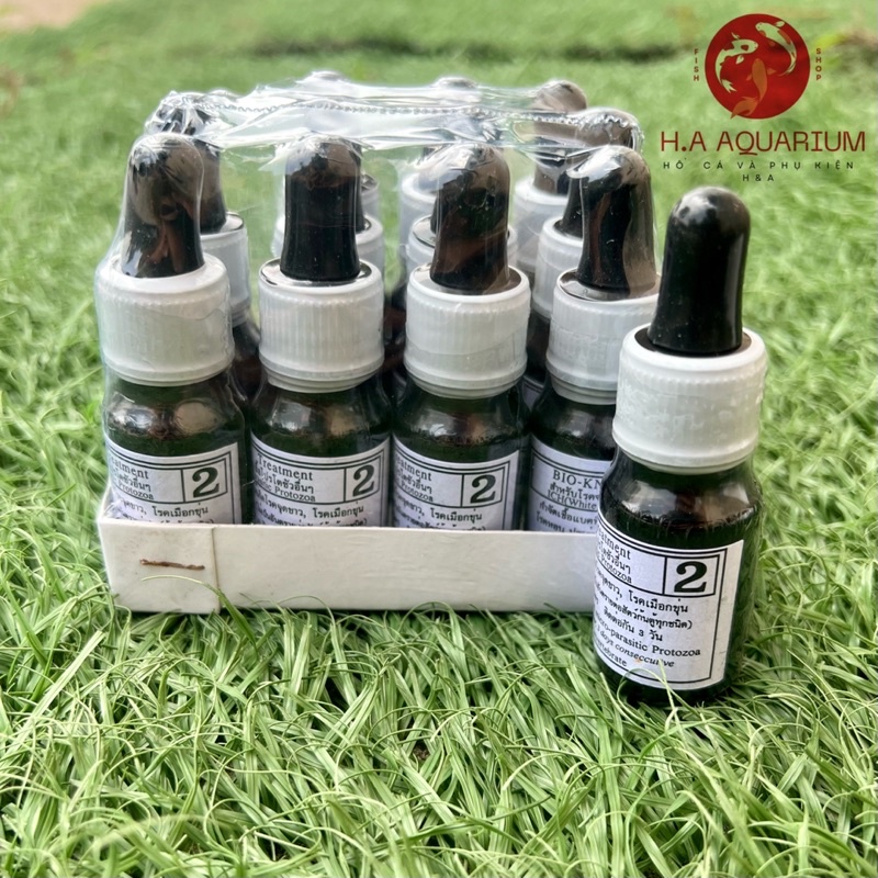 Bio Knock 2 Prevents and Kills Fungi for Aquarium Fish (Thailand ...