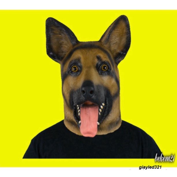 MASK of a hooded nozzle to transform into a shiba dog, a wolf, suitable ...
