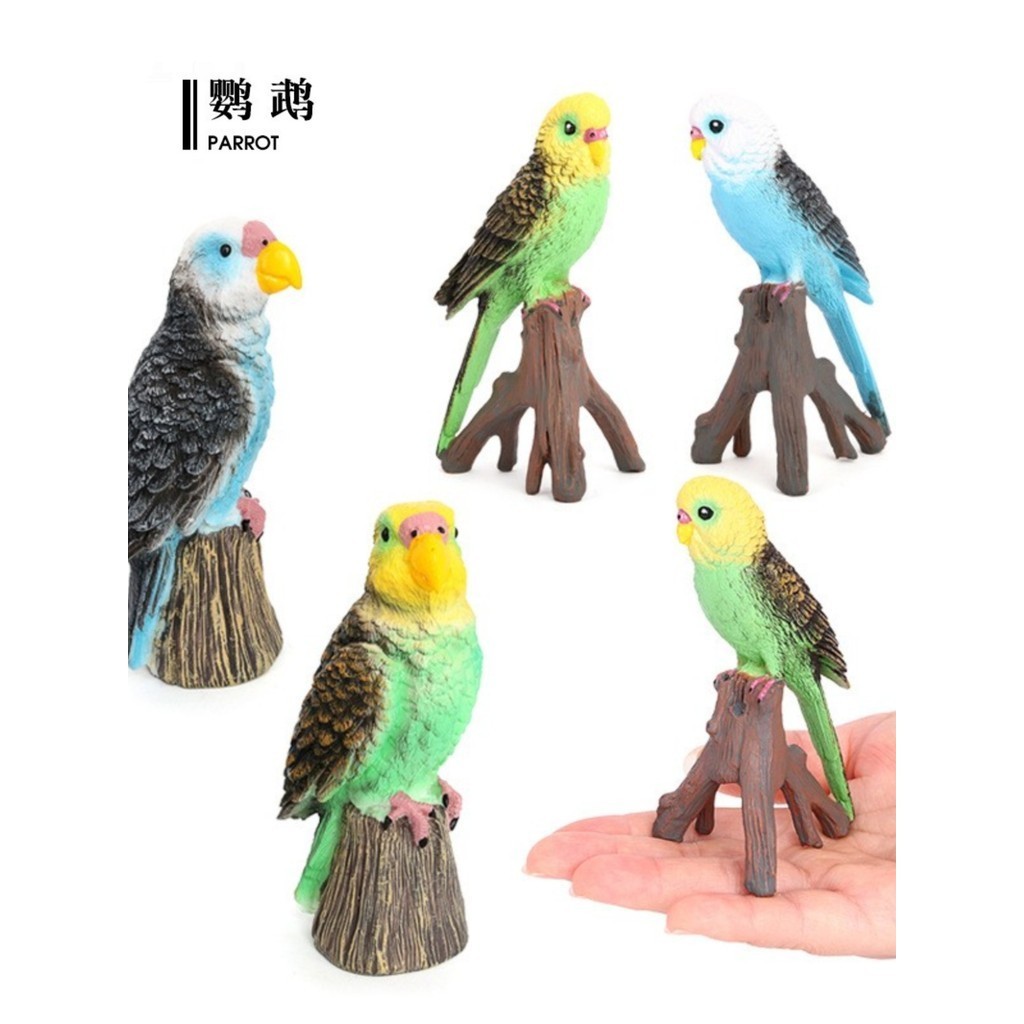 Model Paradise 2025 Models Simulation Animal Models 2025 Models Solid ...