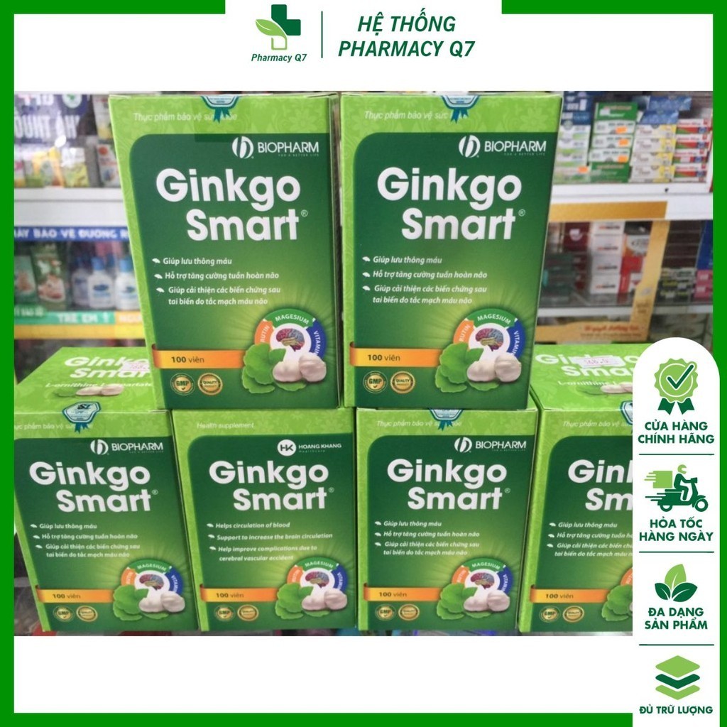 Ginkgo SMART Brain Tonic - Supports To Increase Blood Circulation (Box ...