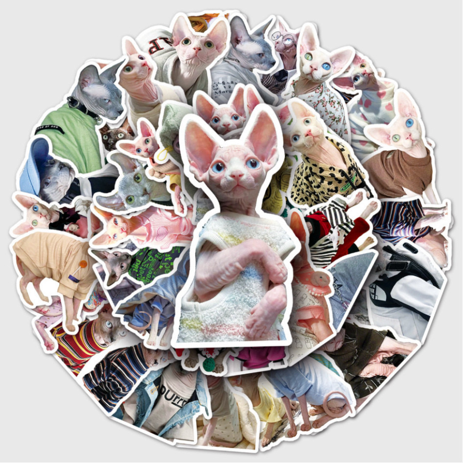 50 Piece Funny Hairless Cat DIY Creative Laptop / Engine / Car ...