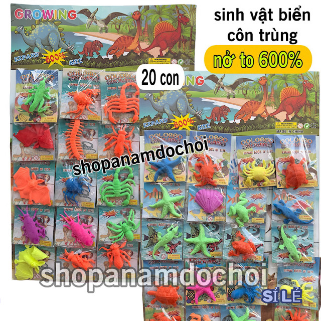 Set of 20 strains of insects and sea creatures blooming, seeds bloom ...