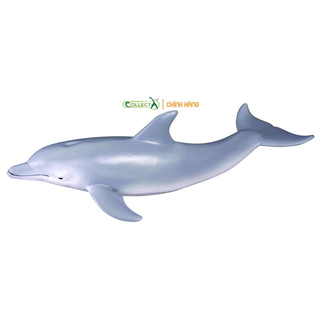 CollectA 88042 - Bottlenose Dolphin | Shopee Singapore