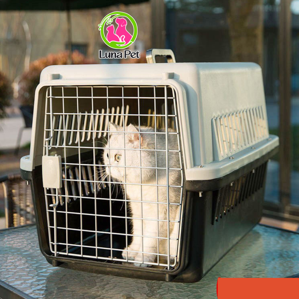 Dog and cat aviation cage with free lining LunaPet LV01 Long distance ...