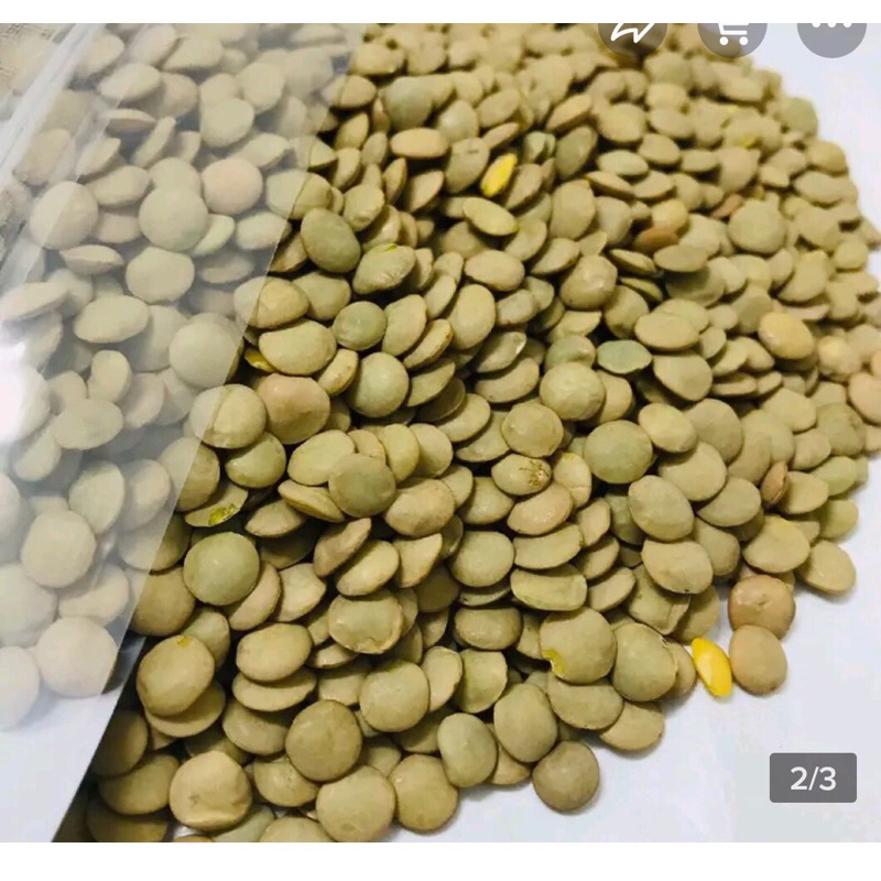 Canadian Organic Green Lentils 1kg | Shopee Singapore
