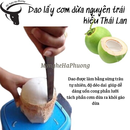 Thai-style buffalo horn coconut peeling knife - first-class whole ...