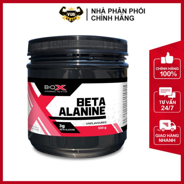 Beta Alanine BioX Pre-Workout Energy Supplement Box 500g (Slight ...