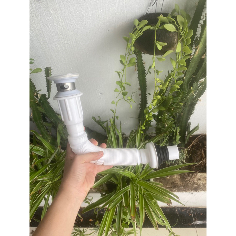 Lavabo drain siphon set, washbasin drain set with white chicken ...