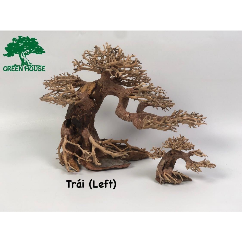 Bonsai driftwood, aquatic driftwood used to decorate aquariums ... Bonsai driftwood, aquatic driftwood used to decorate aquariums ...
