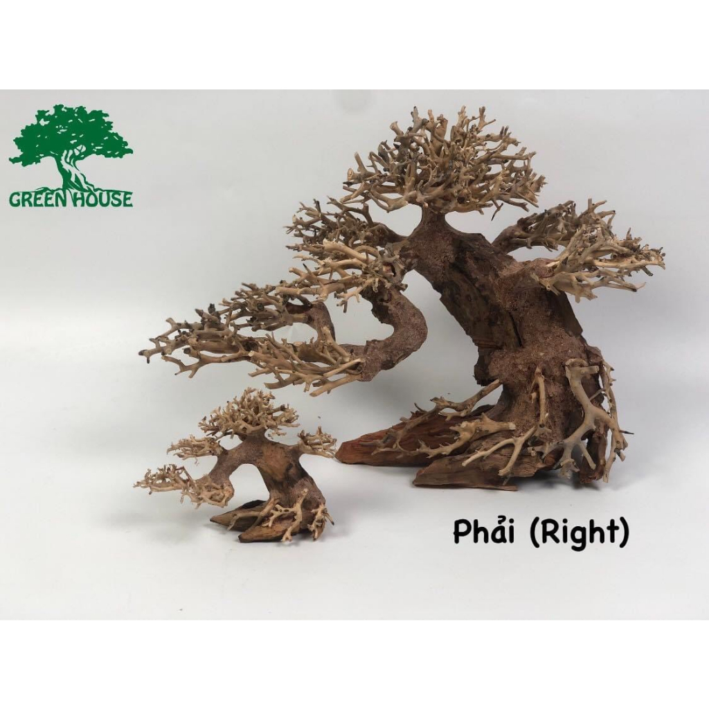 Bonsai driftwood, aquatic driftwood to decorate aquariums and aquariums ... Bonsai driftwood, aquatic driftwood to decorate aquariums and aquariums ...
