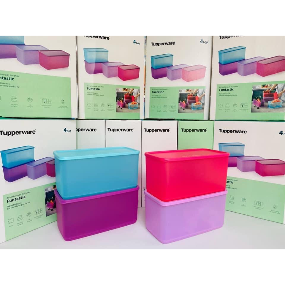 3,1l tupperware box for cooler storage | Shopee Singapore