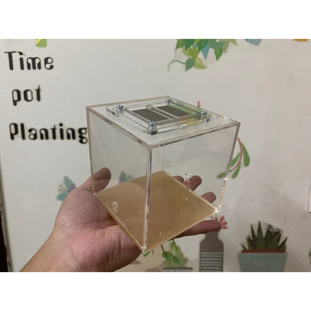 Ant Tank, OutWorld Ant Tank, Ant Nest, Exterior Area, Formicarium ...