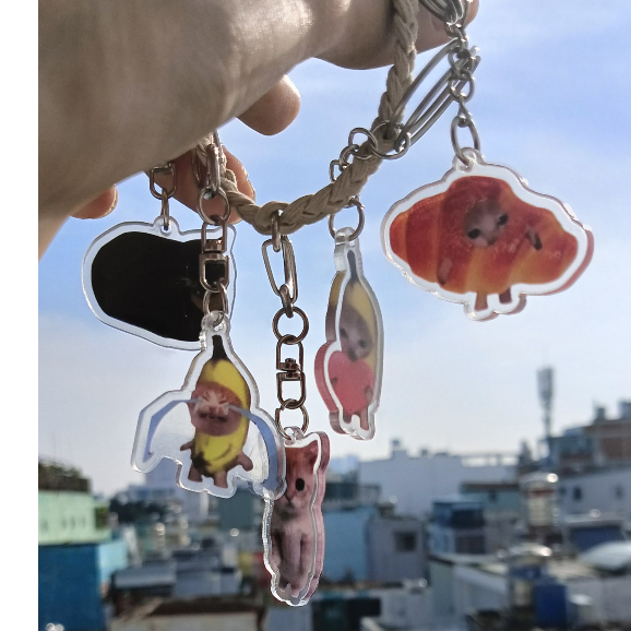 Banana Cat Keychains, Happy Cat meme Cat meme Distorted meo cute Cats ...