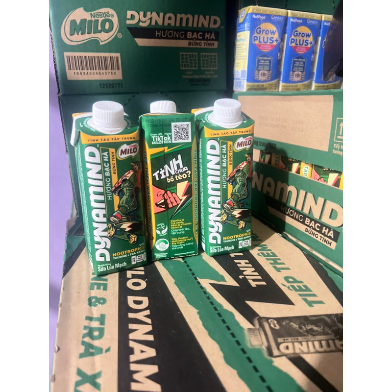 Carton of 24 boxes of Milo DYNAMIND barley mint flavor 200ml | Shopee ...