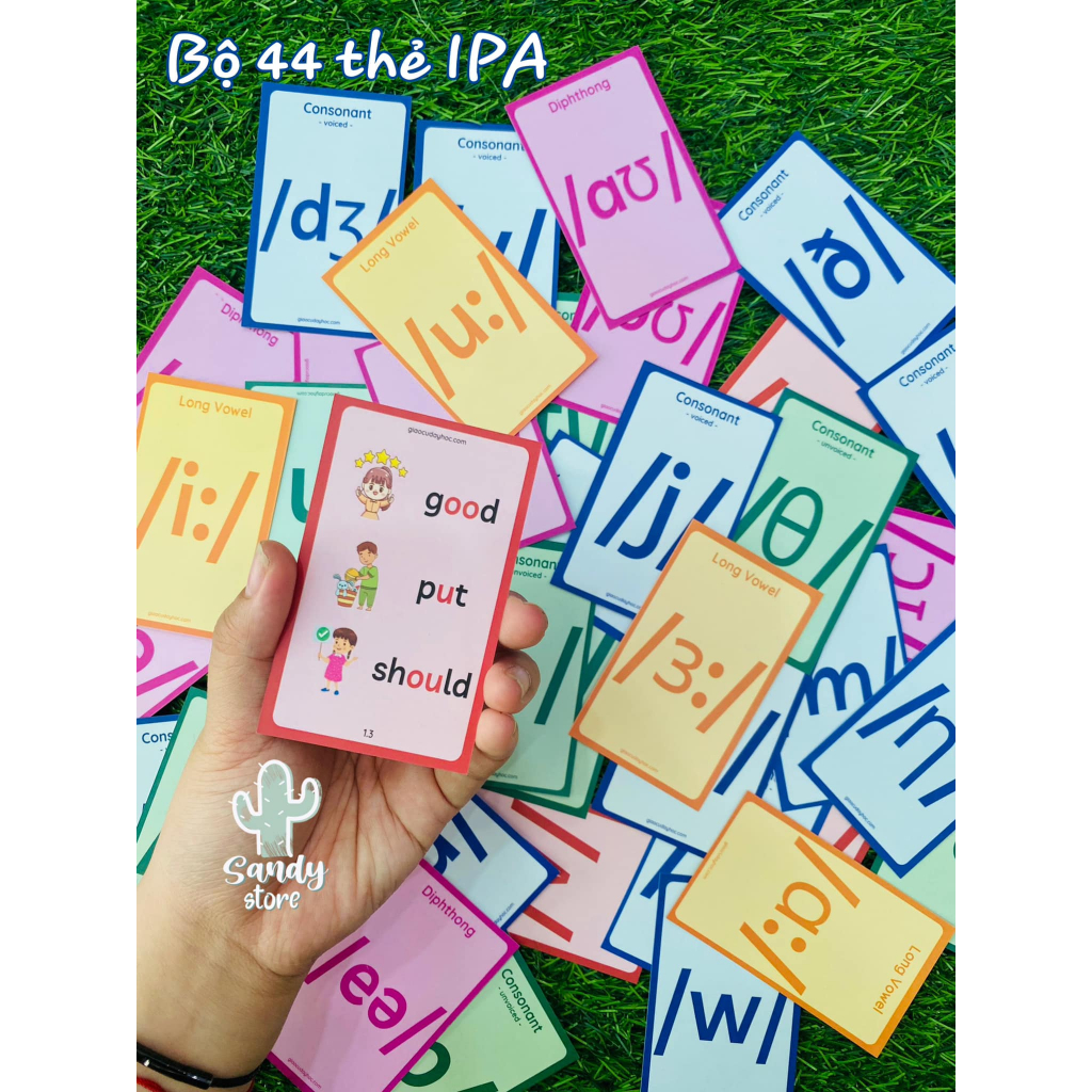 [Sandy Learning Materials] Set of 44 IPA Phonetic Cards (Basic ...
