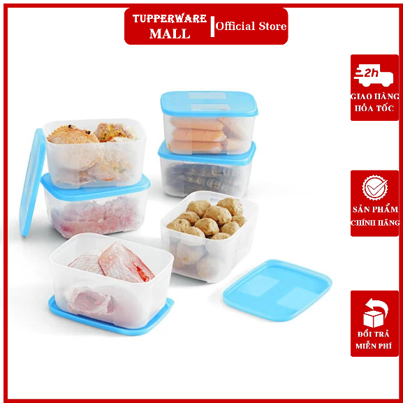 Freezermate 650ml Tupperware Freezer Box Set (6 Boxes) | Shopee Singapore