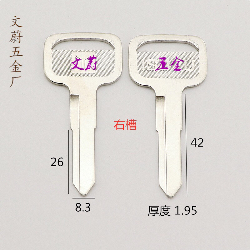 ISUZU car key blank (combo of 2 keys) | Shopee Singapore